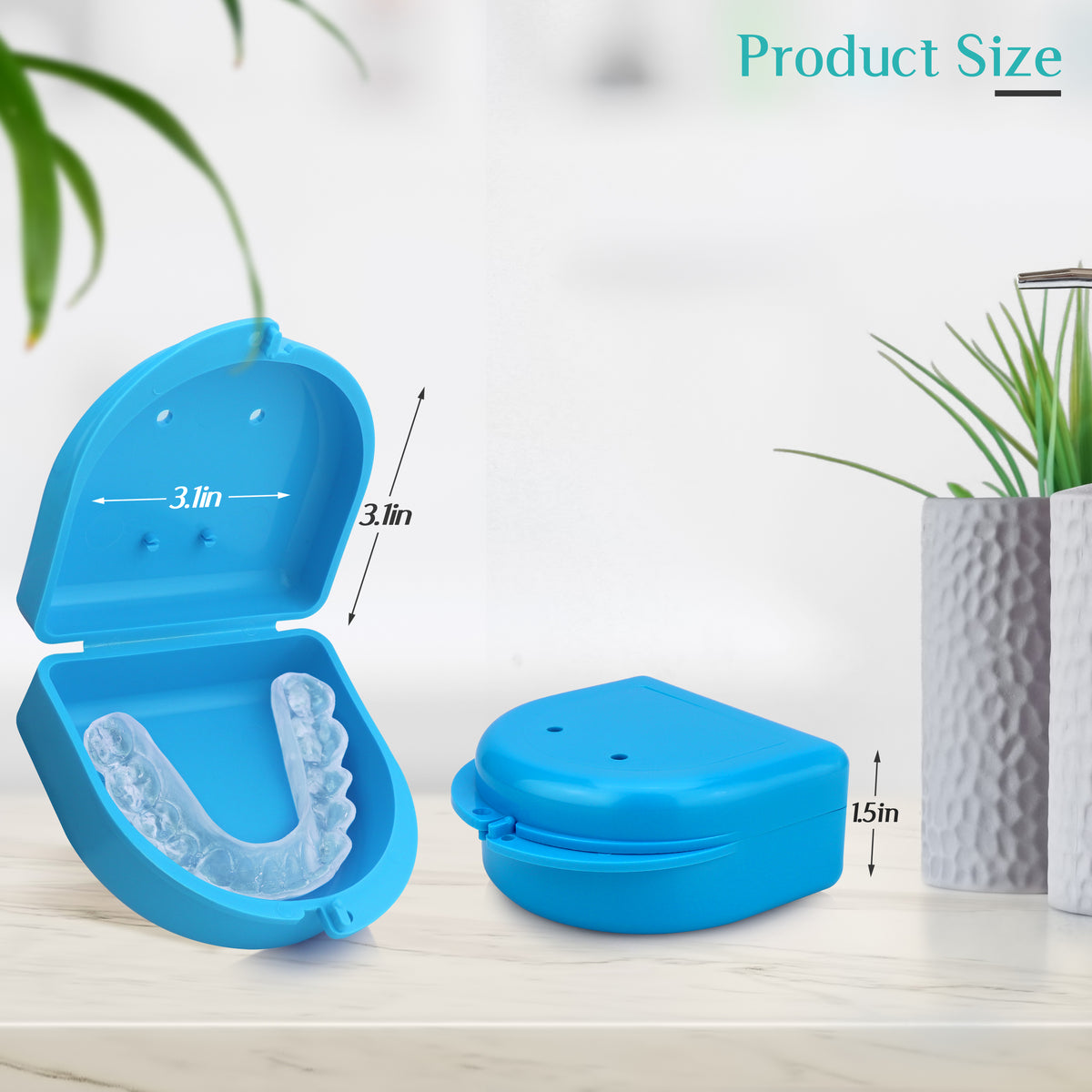 2 Pack: Sky Blue Retainer Case – FreshKnight